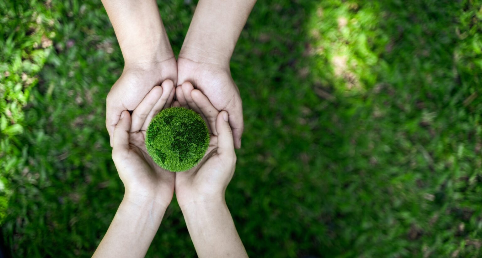 導入事例 | POWERGs（パワージーズ）